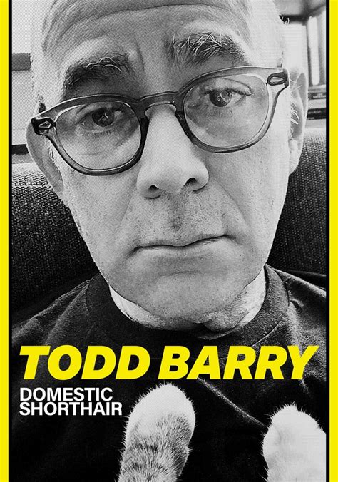 Todd Barry Domestic Shorthair Streaming Online