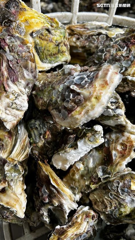 到澎湖必吃燒烤店！牡蠣小卷吃到飽 專業烤法鎖住食材原味 娛樂星聞