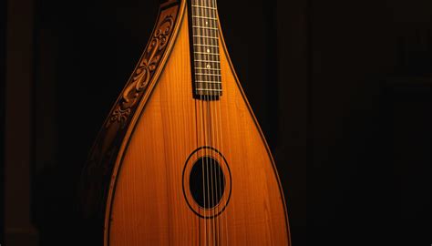 Grand Luth Ancien Quelles Caractéristiques