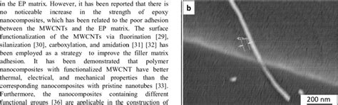 FESEM Images Showing The Bundles Of Pristine MWCNT A And Highly