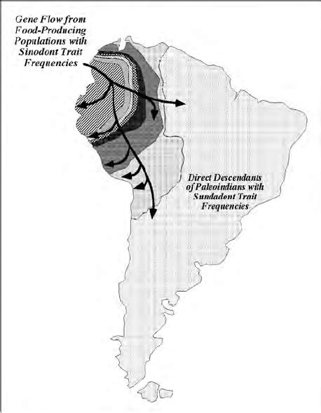 3 The Hypothesized Spread Of Sinodonty Into South America Via The