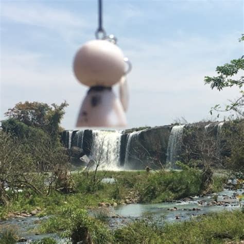 Hung Tran Viblo
