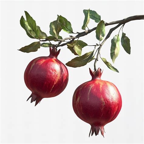 Yalda Night Premium Ai Generated Image