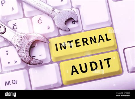 Conceptual Caption Internal Audit Internet Concept Evaluates The