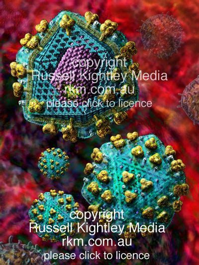 Aids Virus Under Microscope