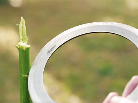 Acejet Chakram 10 Spring Steel Sharp Ring