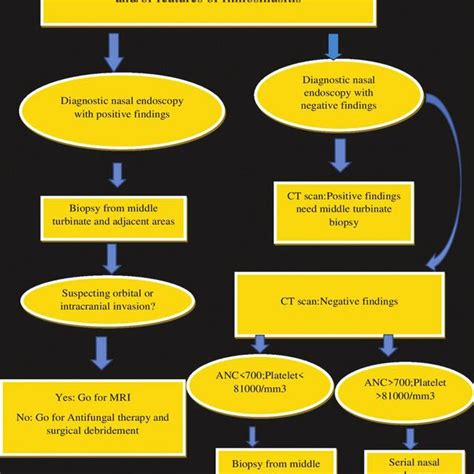 Management Algorithm Of A Suspected Case Of Aifs Aifs Acute Invasive