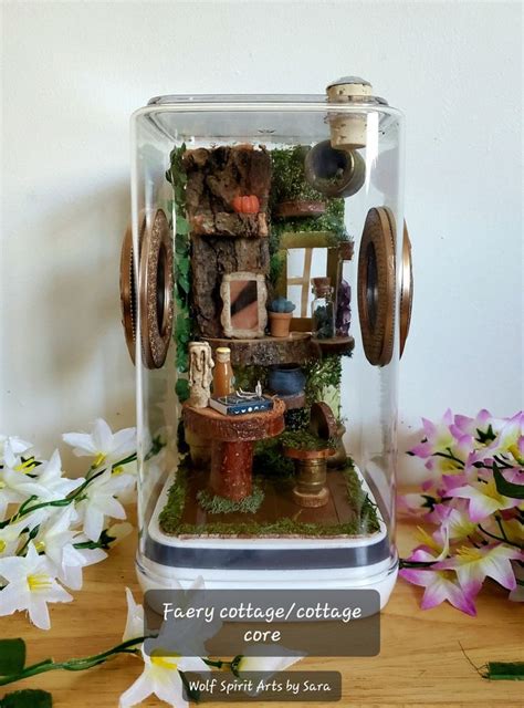 Made To Order Large Jumping Spider Enclosure Jumping Spider Decor