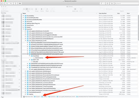 Animate 2021 Crashes On Launch Adobe Community 11552076