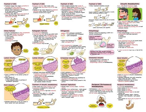 Ameloblastoma High Yield Dental Notes Medinaz Blog