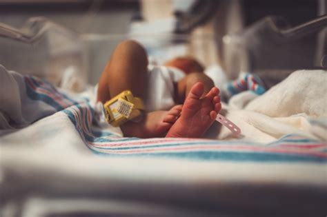 Pollutants Linked To Skewed Sex Ratios Of Babies Research Finds