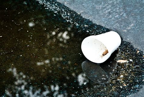 Trash The Styrofoam Green And Recyclable Alternatives To A Pollutant Frank Gromling FlaglerLive