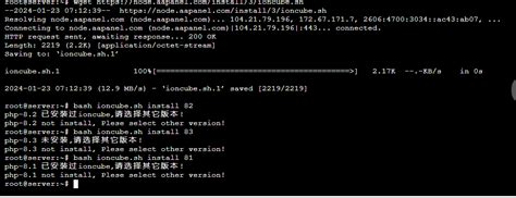 Install IonCube Loader PHP 8 2 AaPanel Free Hosting Control Panel
