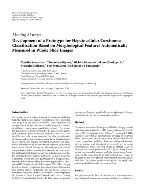 Pdf Development Of A Prototype For Hepatocellular Carcinoma Classification Based On