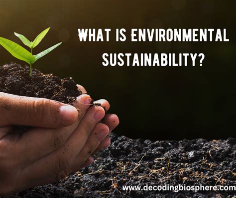 What Is A Simple Definition Of Environment At Wilma Scanlon Blog
