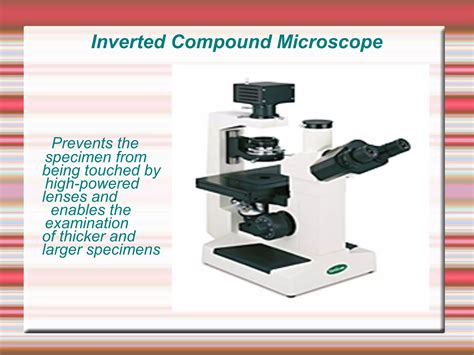 Compound Microscopes An Essential And Affordable Apparatus Ppt