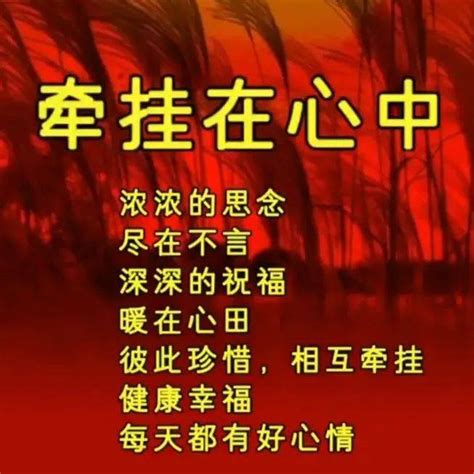 牵挂久久在心中真情久久暖心窝 祝福 香花 初识