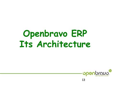 Openbravo Tan Cheng Ying Presentation Erp Ppt