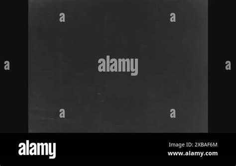 Fiber Microscope Wood Stock Videos And Footage Hd And 4k Video Clips Alamy