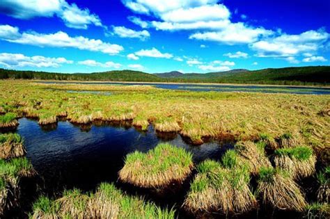 Энэ бол Миний төрсөн нутаг Монголын сайхан орон