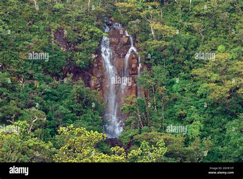 Alexandra Falls In The Black River Gorges National Park Mauritius