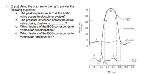 Solved Using The Diagram Answer The Following Questions A Chegg