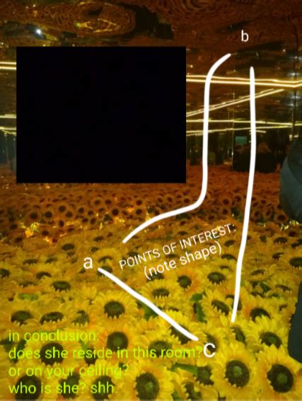 Image Recovered From A Computer Drive In A Condemned Quebec City