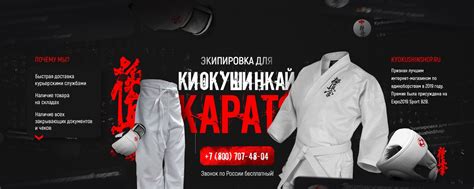 Экипировка для киокушинкай каратэ Екатеринбург | Интернет-магазин ...