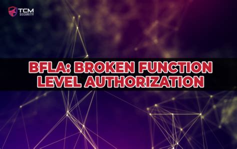 BFLA Broken Function Level Authorization TCM Security