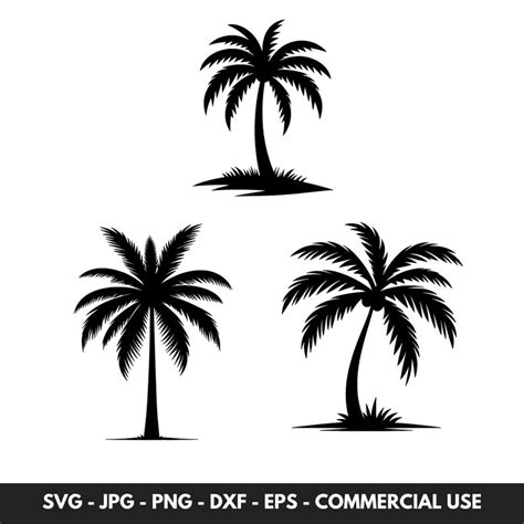 Palm Tree Svg Tropical Palm Svg 3 Palm Tree Svg Bundle Tropical Palm