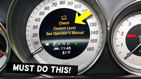 Coolant Level Mercedes Benz At Pam Kirkland Blog