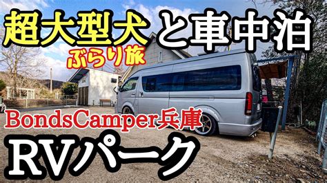 【犬と車中泊】超大型犬とrvパークで車中泊‼️bondscamper丹波篠山兵庫県 Youtube
