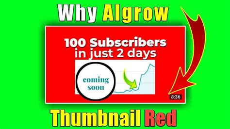 How Stepgrow Decodingyt And Hifzanbreaks Beating Youtube Algorithm