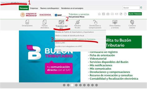 C Mo Descargar E Imprimir Tu Rfc En Pdf Gratis Blog Alu