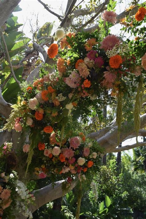 Dreamy Tree Arch Glorified Hobby