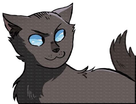 Cinderpelt Graphic Novel Warriors Warrior Cats Cat Azu