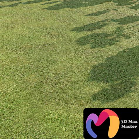 Low Field Grass Terrain Material Seamless Pbr 3d Max 3d Max Master Low Field Grass Terrain Material Seamless Pbr 3d Max 3d Max Master
