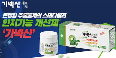 기넥신 에프정 효능 가격 부작용 80mg 120mg 240mg 인생꿀팁