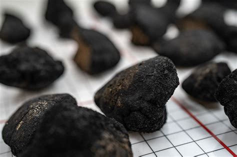 The Special Case Of Polymetallic Nodules Deepgreen