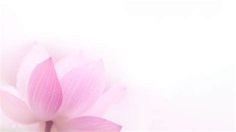 Effectiveness And Advantages Of Female Condoms Fleur Womens Health