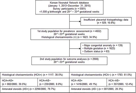 Chorioamnionitis Plos One