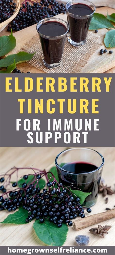 Elderberry Elixir Recipe Brandy At Qiana Flowers Blog