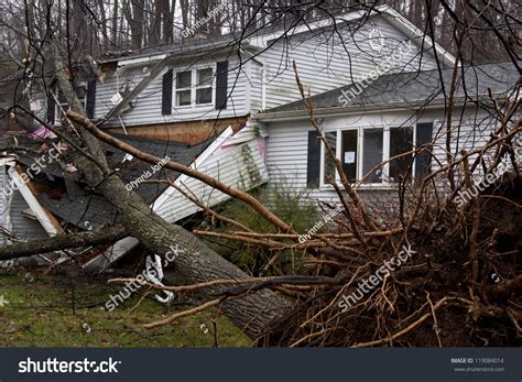 Tree Fell On House Images Stock Photos Vectors Shutterstock