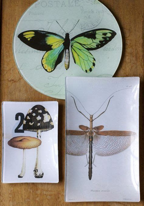 Mod Podge Glass Plates Artofit