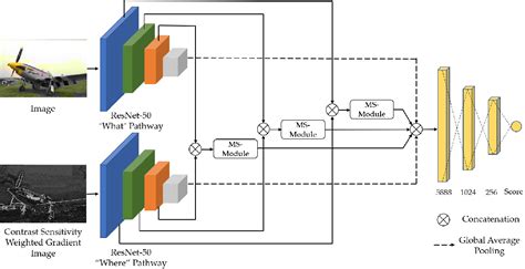 Figure 1 From Using Hvs Dual Pathway And Contrast Sensitivity To