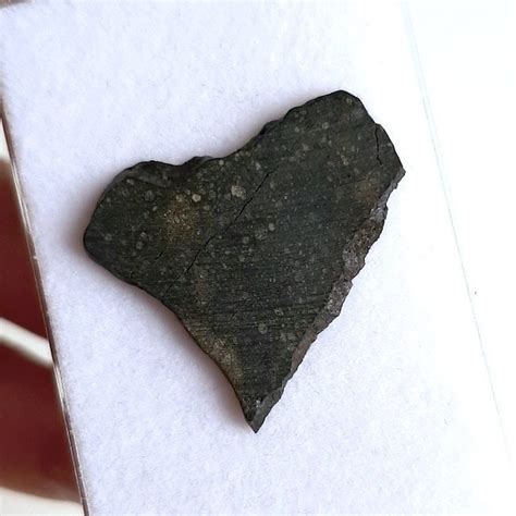 Nwa 13518 R Chondrite Meteorite Rare Type Visible Chondrules 2 G