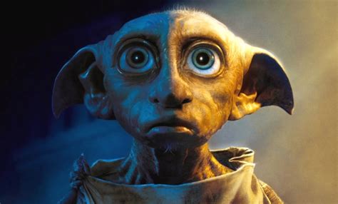 Harry Potter Fans Urged To Stop Dropping Socks At Dobbys Grave On