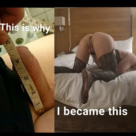 No Further Explanation Needed Scrolller