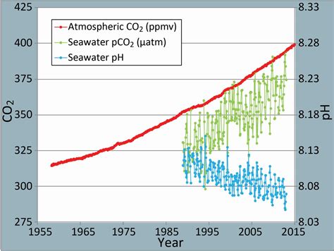 What Is Ocean Acidification Noaa Ocean Acidification Program