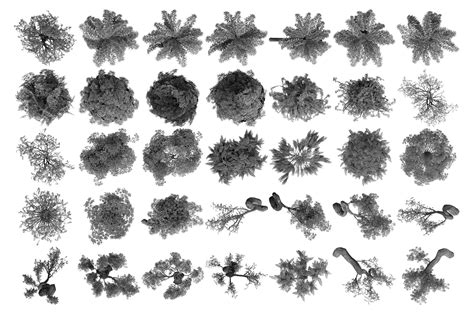 Tree Brushes Willow Edition Design Cuts
